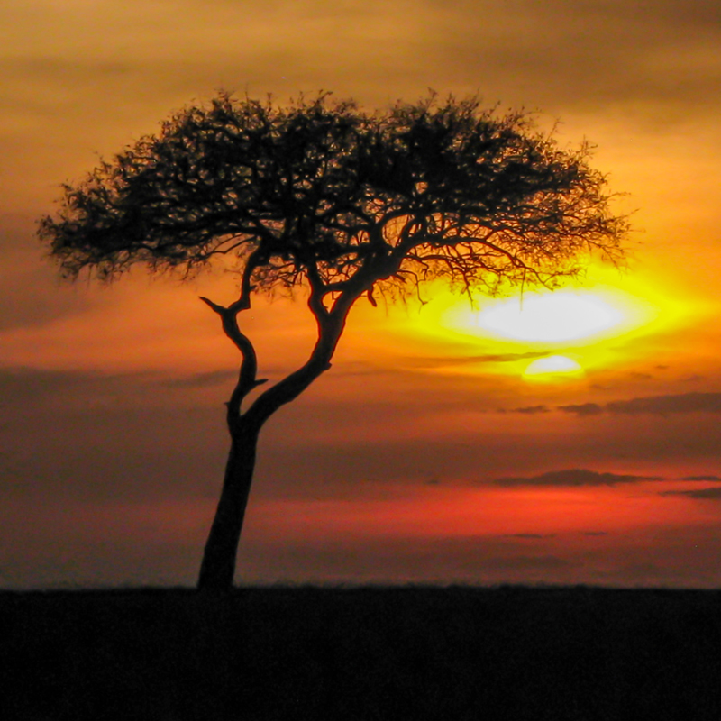 Tim's Signature African Safari - Safari Express